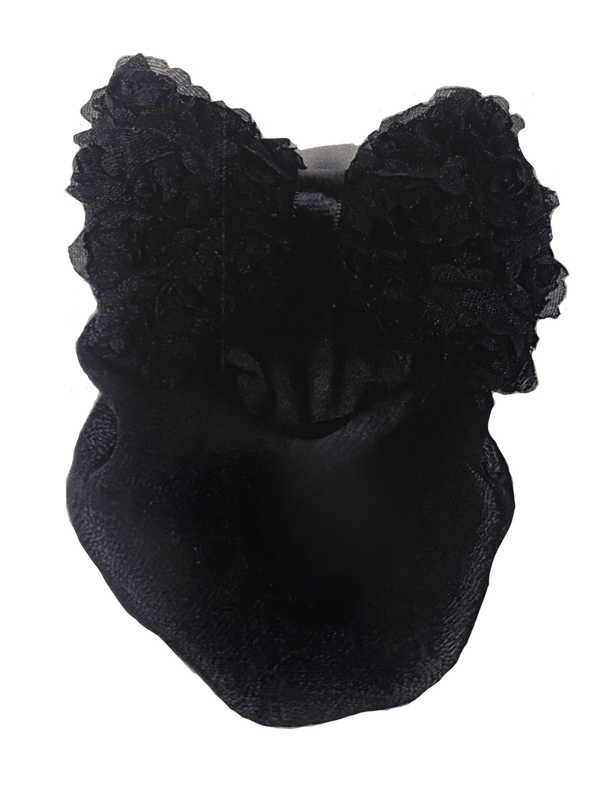Dasha Rosette Bow with Snood - Black — DanceWear Corner